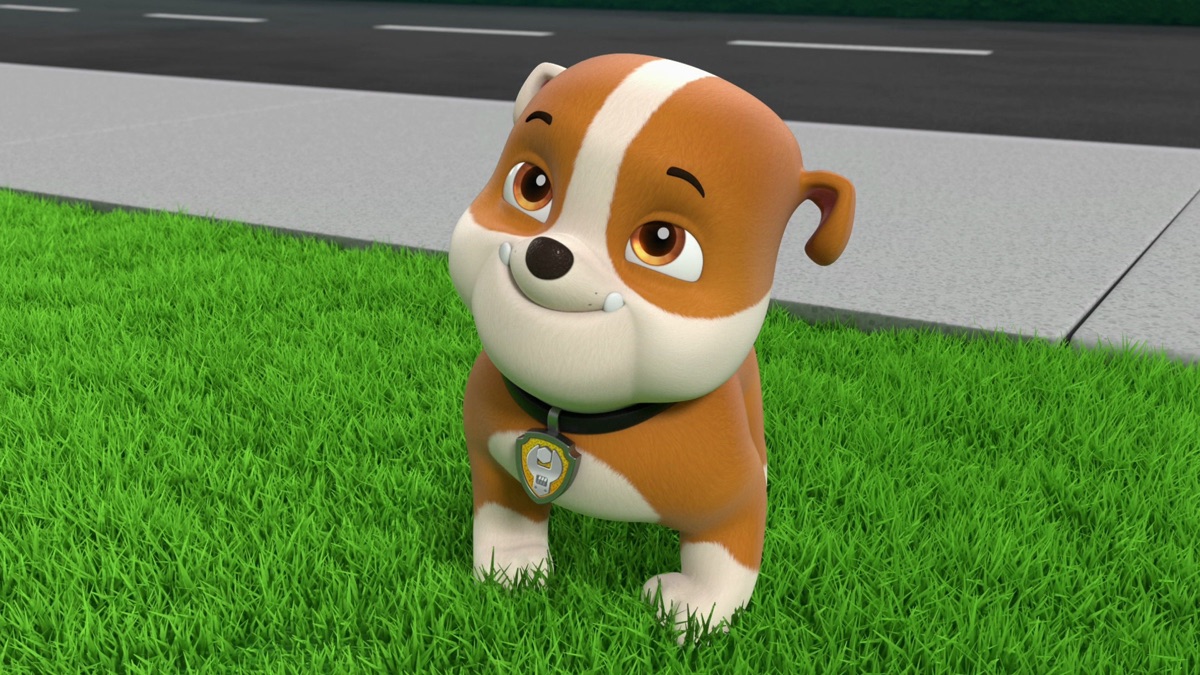 ‎Pups Save a Runaway Rooster - PAW Patrol (Series 8, Episode 101 ...