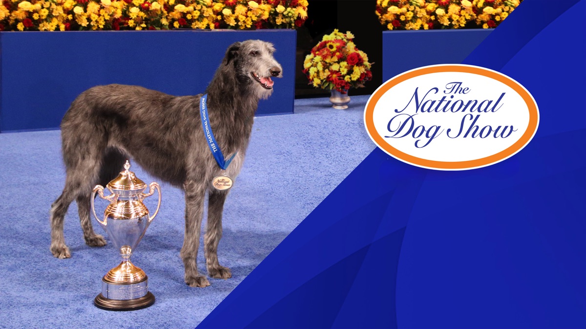 ‎The National Dog Show - Apple TV