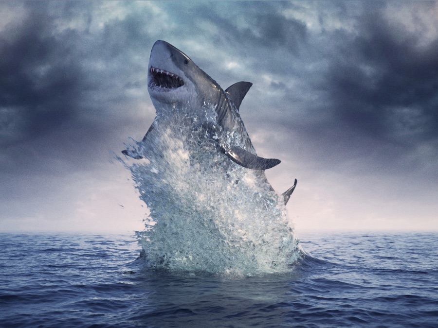 Ultimate Air Jaws - Apple TV (CA)