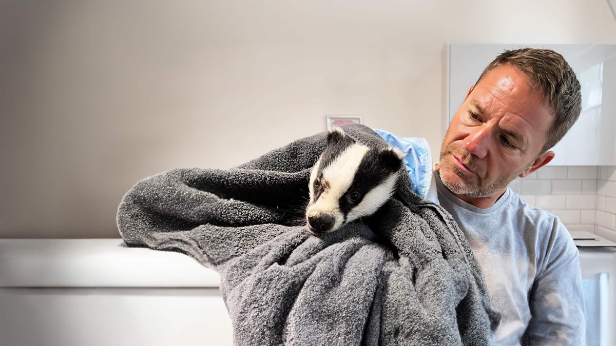 Badgers: Their Secret World - Apple TV (UK)