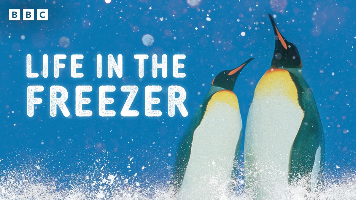 ‎Life in the Freezer - Apple TV