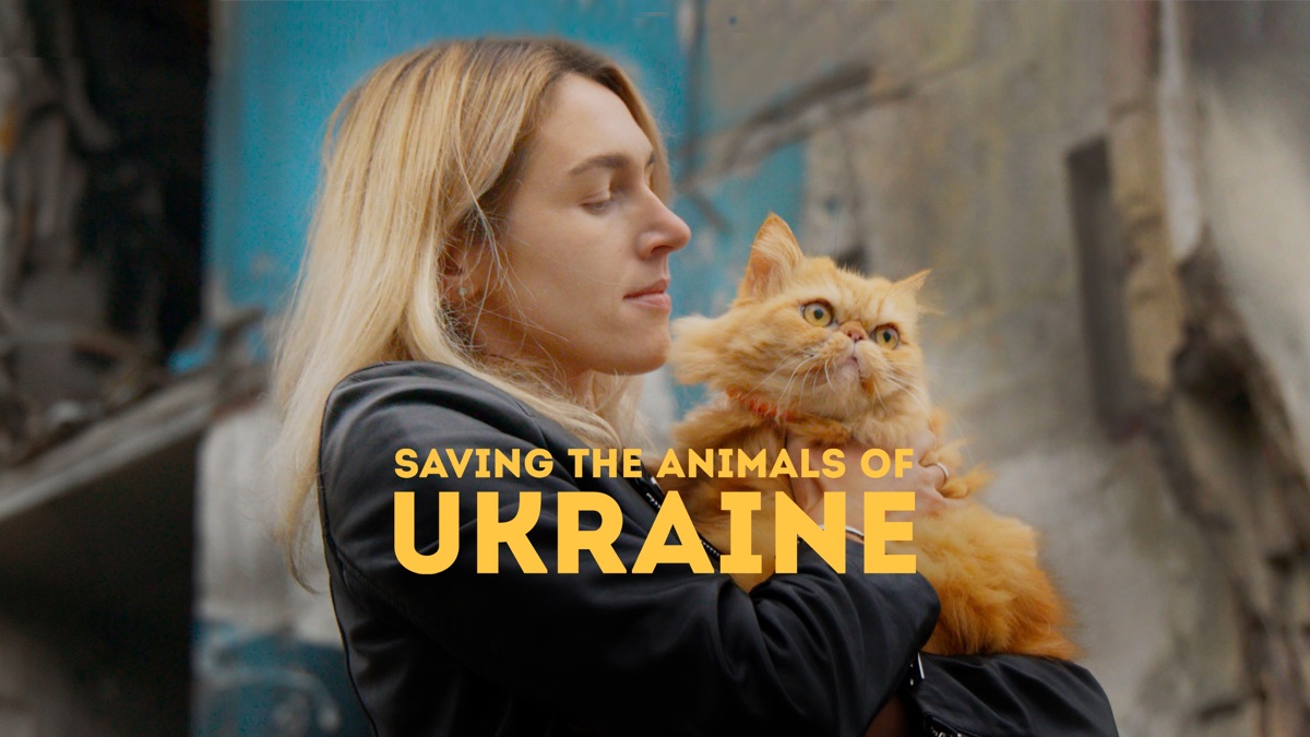Saving the Animals of Ukraine - Apple TV