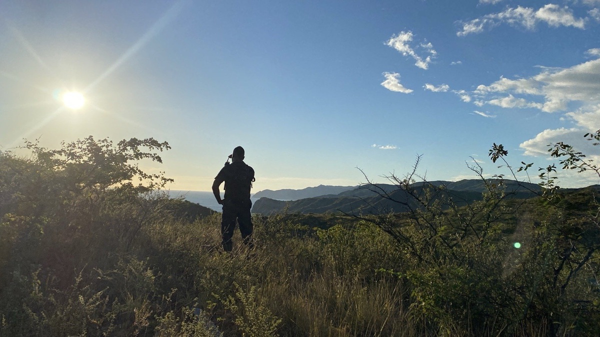 Affen - Wild World mit Patrick Aryee (Staffel 1, Folge 4) - Apple TV (DE)