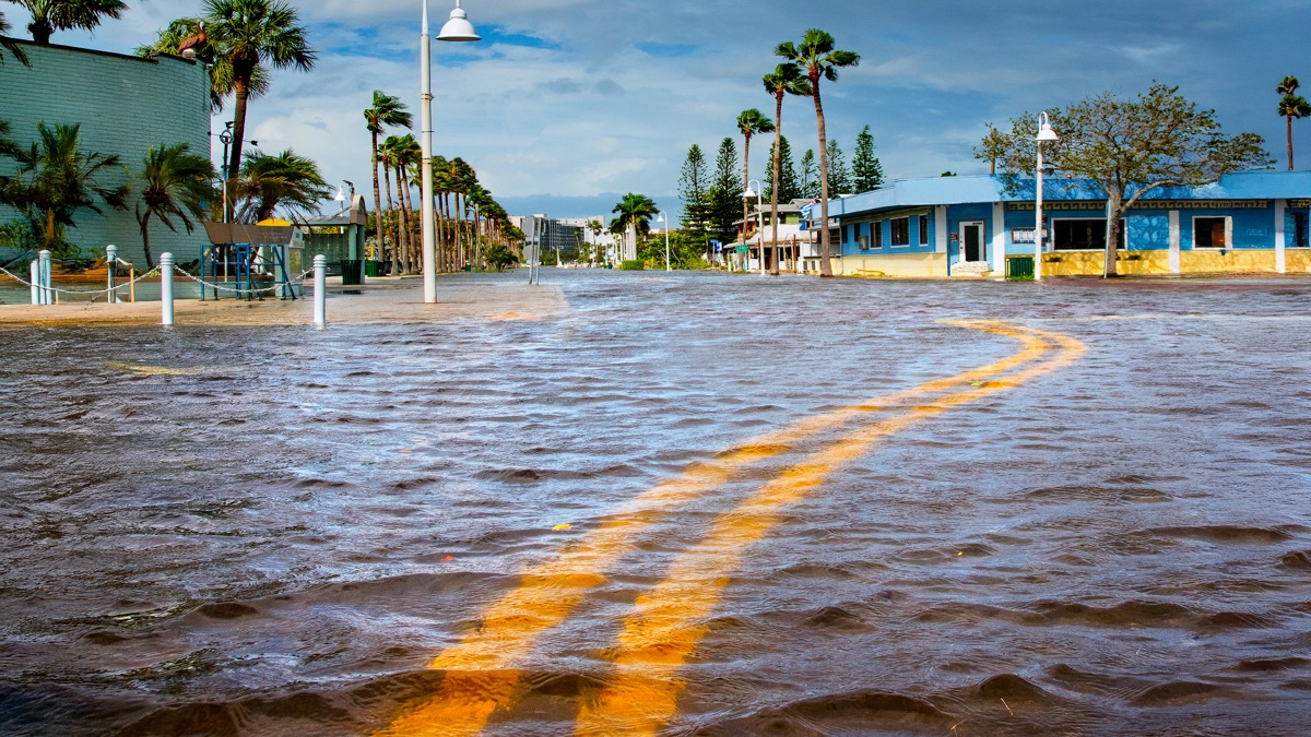 ‎Double Hurricane Disaster - In the Eye of the Storm (Series 2, Episode ...