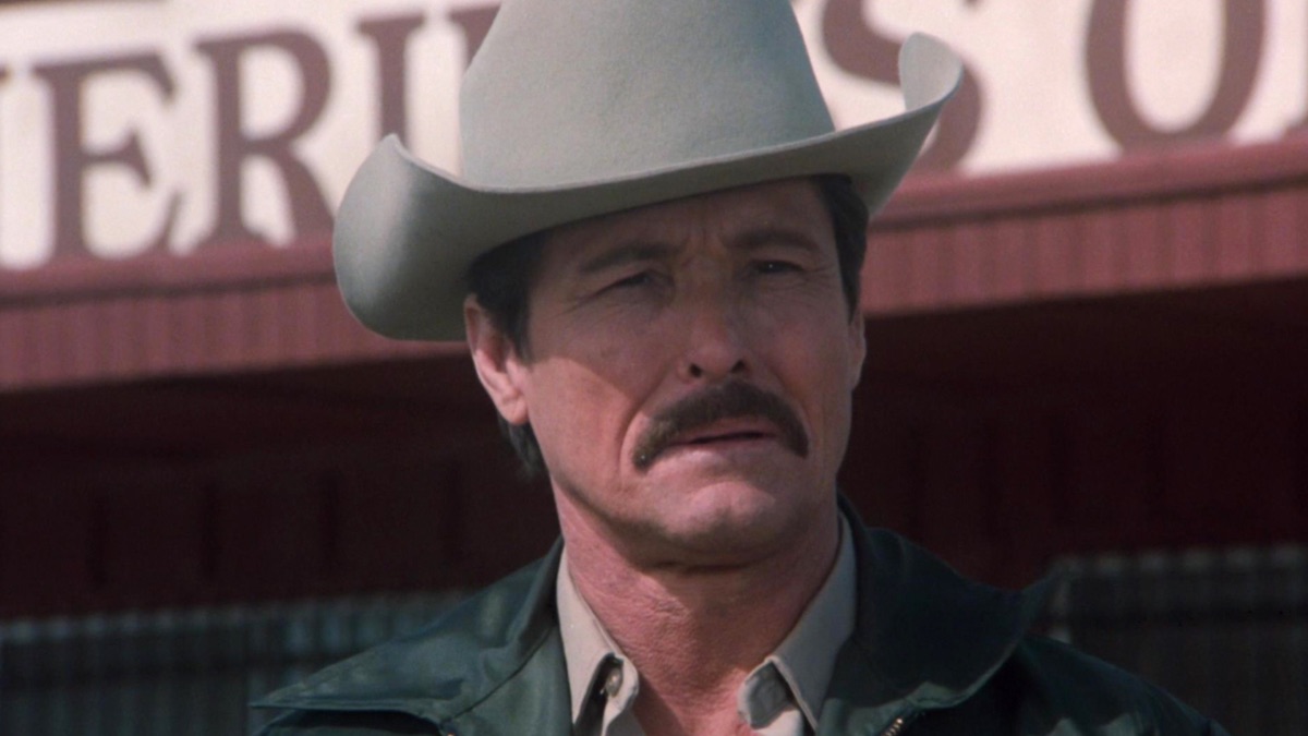 Erik Estrada Chips Mustache