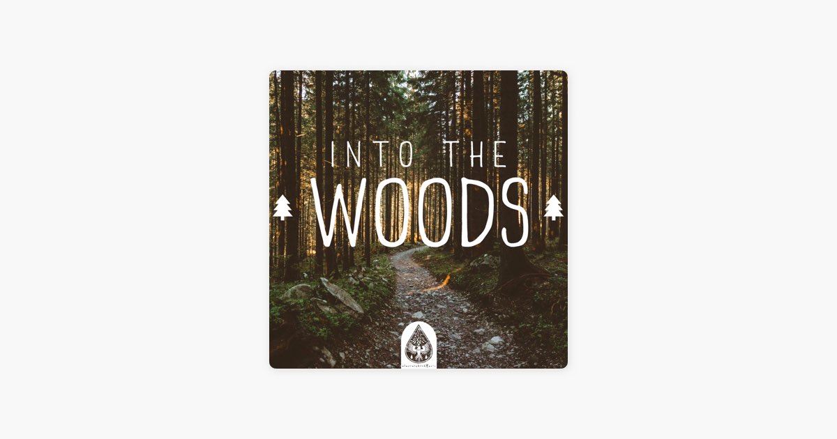 ‎Into The Woods 🌲 - A Mysterious Folk/Pop Playlist by Alex Rainbird on ...