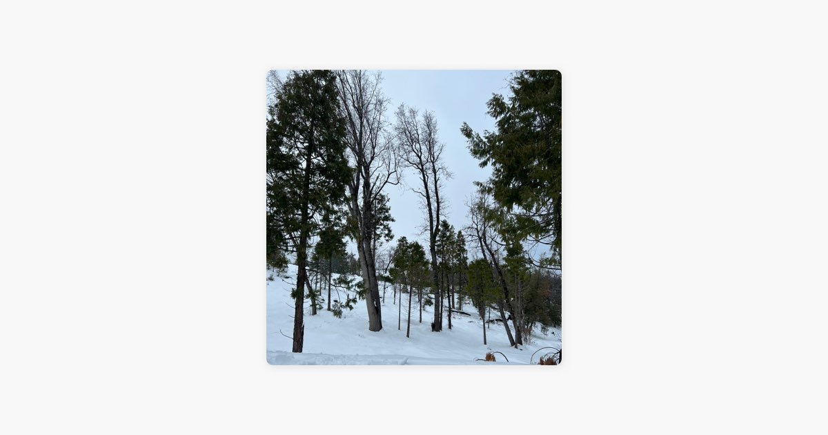 ‎January by Keota on Apple Music