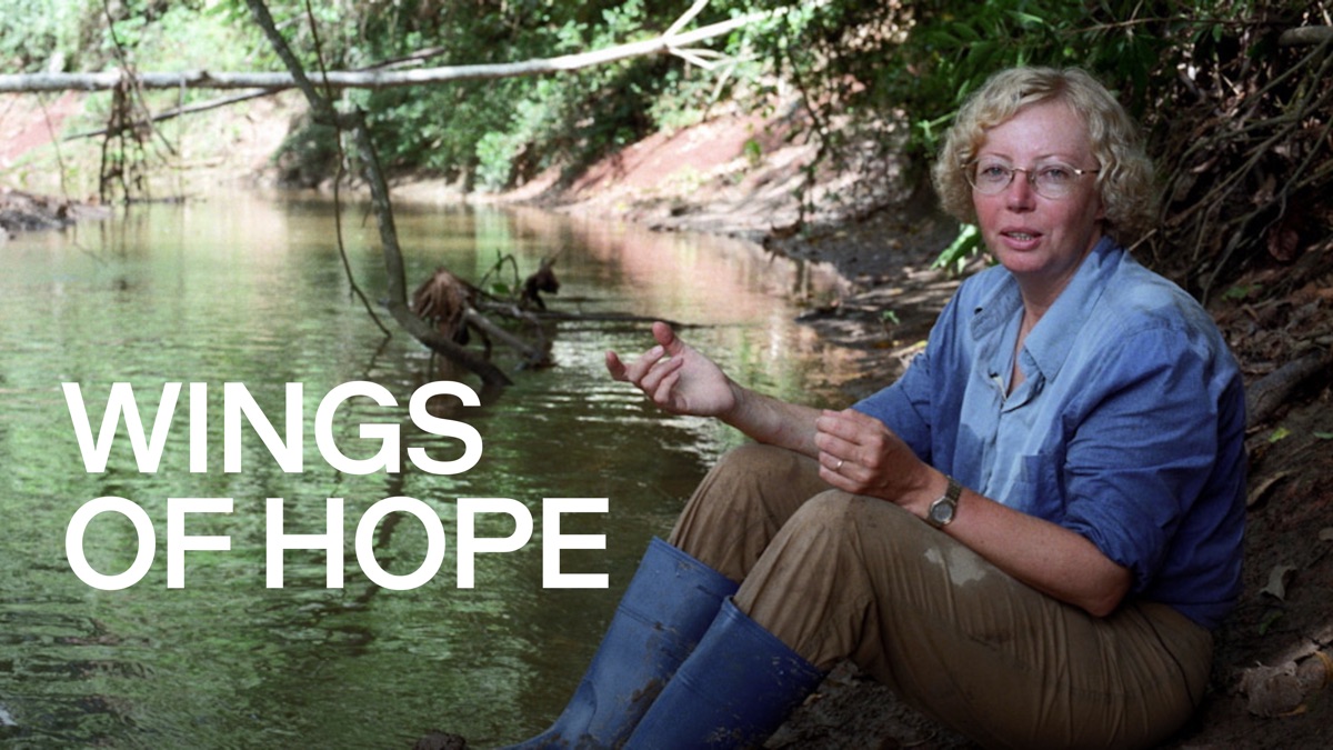 ‎Wings of Hope - Apple TV