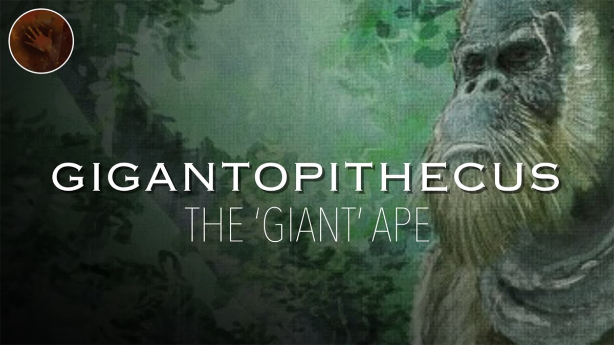 Gigantopithecus the Largest Ape That Ever Existed - Dinosaur Discovery ...