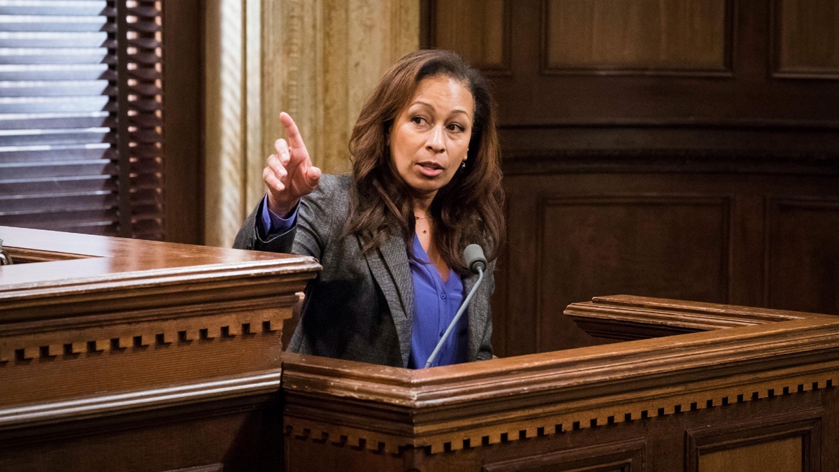 Bebé Desaparecido - Law & Order Special Victims Unit (temporada 19 ...