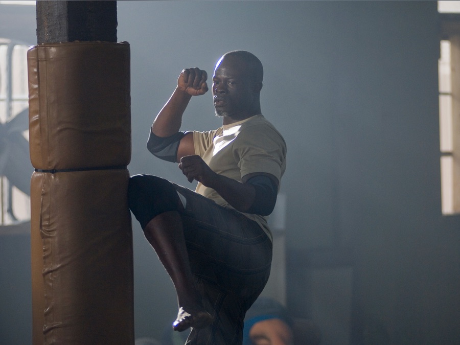 Never Back Down | Apple TV