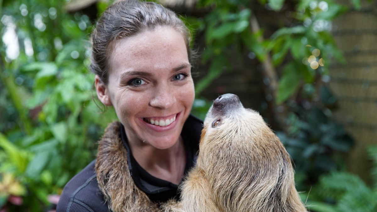 Super Sloths and Ostrich Marathons - Los secretos del reino animal ...