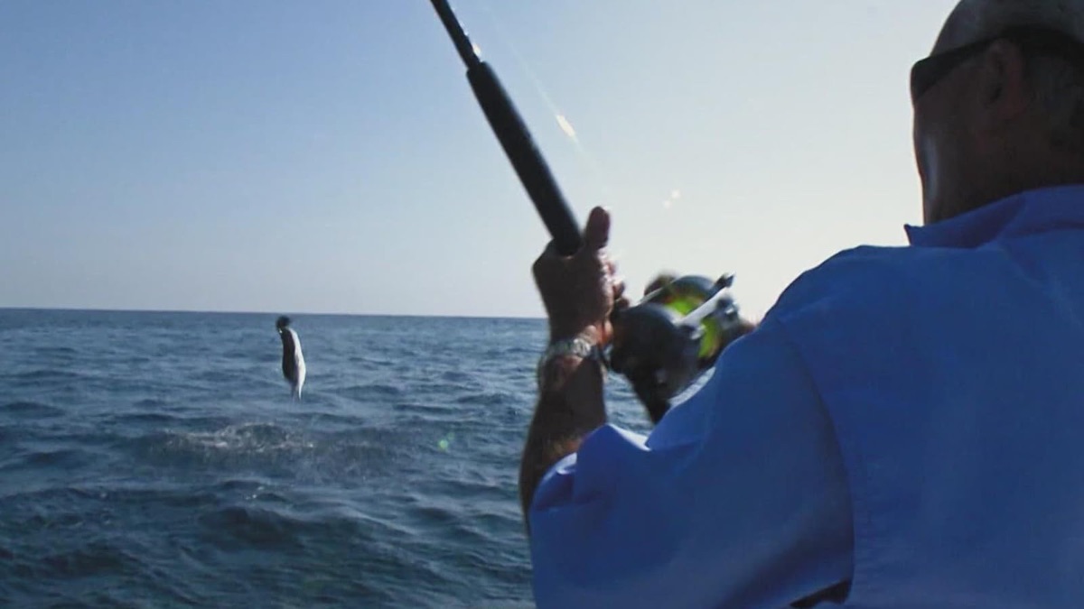 Fly Rod Bass on Popping Bugs - Fishing with Roland Martin (Season 6 ...