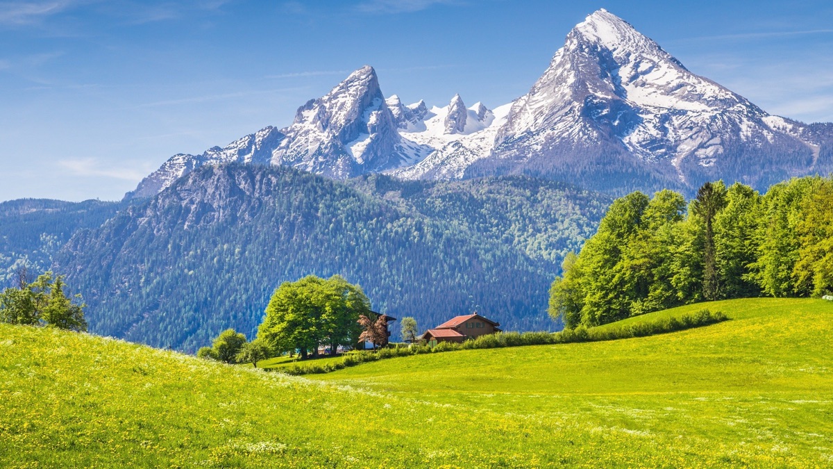 Out of Frame - Apple TV