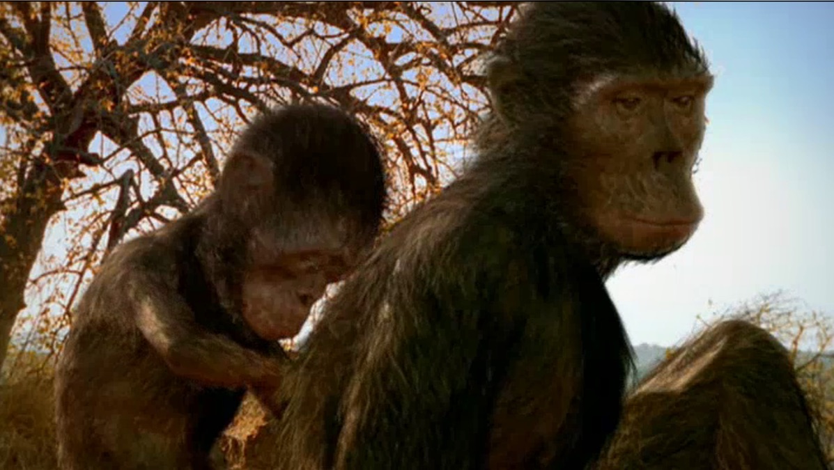 Walking With Beasts Australopithecus