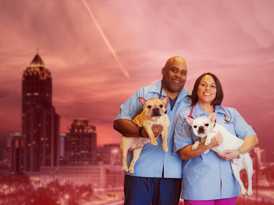 Love & Vets - Apple TV (CA)