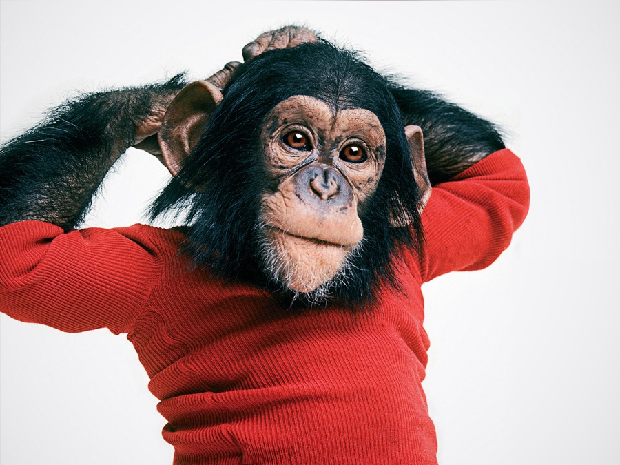 Project Nim - Apple TV