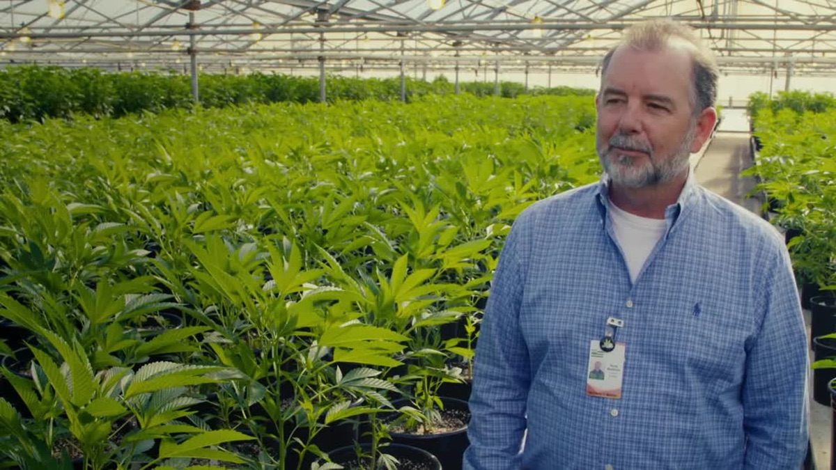 Marijuana Business - Apple TV