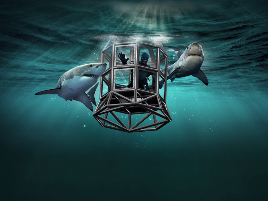 Shark House - Apple TV