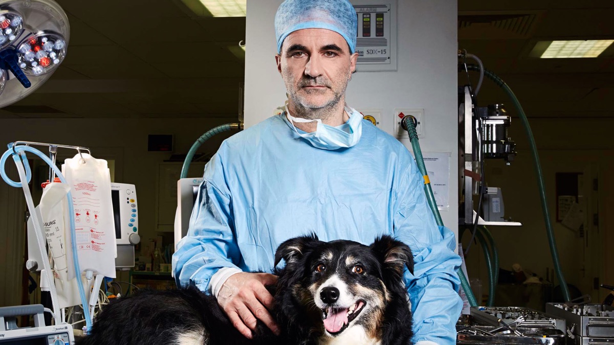 Bionic Specials: Flo & Izzy - The Supervet: Noel Fitzpatrick (Series 6 ...
