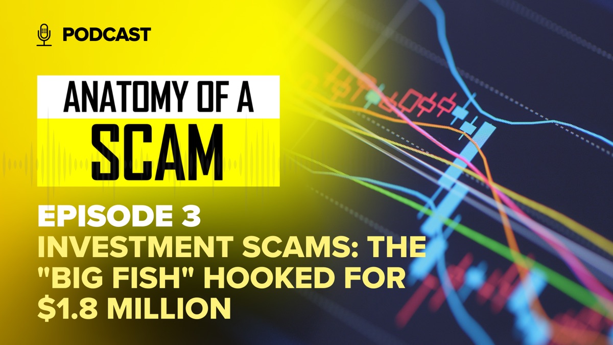 Investment Scams: The "Big Fish" hooked for $1.8 million – Anatomy of a ...