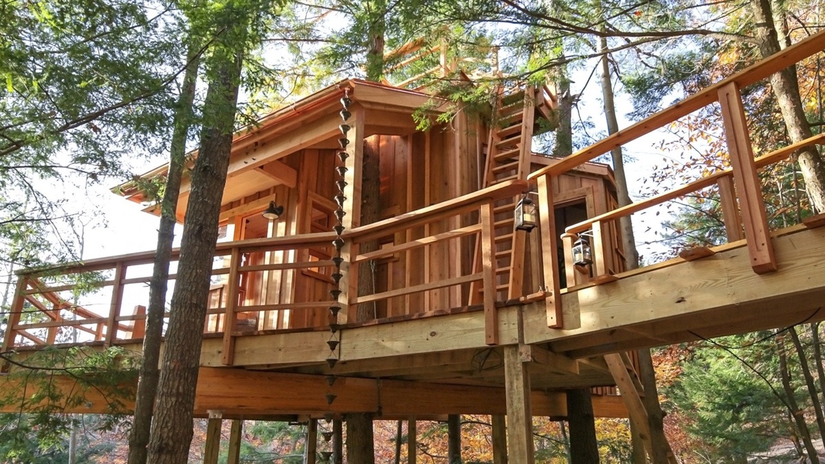 Coolest Tree Houses Ever Built