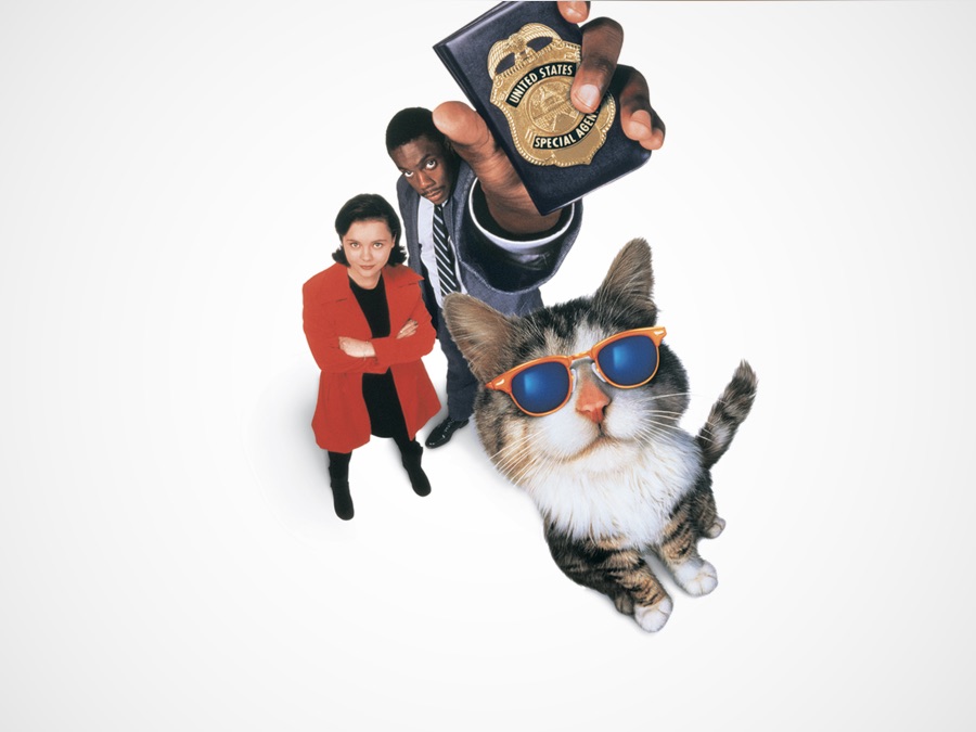 That Darn Cat | Apple TV (BH)