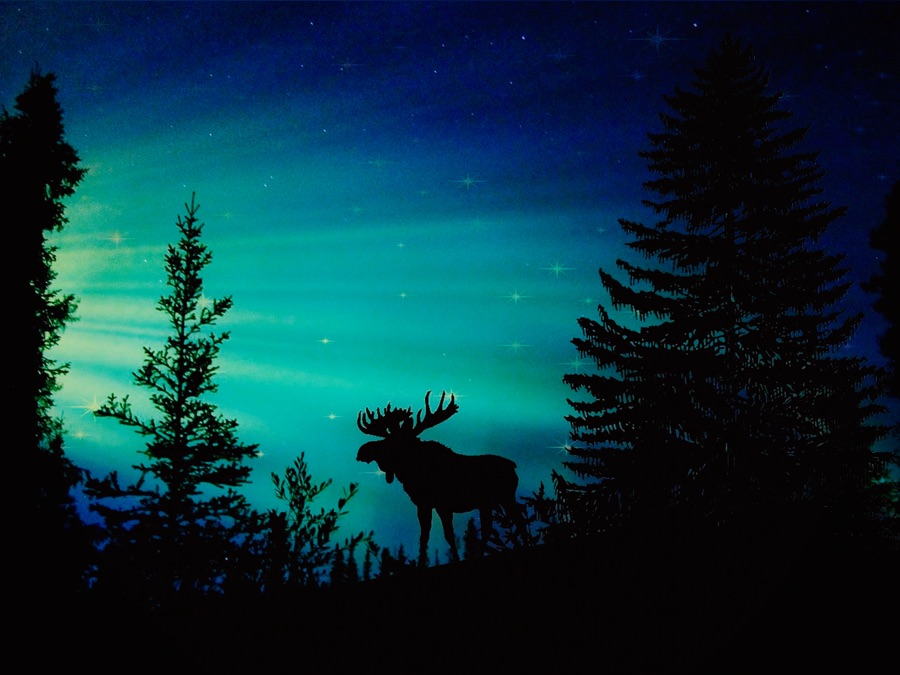 The Moose Movie - Apple TV