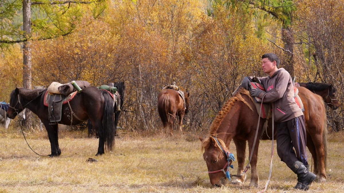 ‎Lair of the River Wolf - Fish or Die (Series 1, Episode 3) - Apple TV (ES)