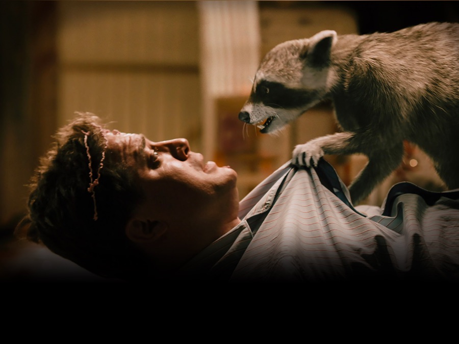 Furry Vengeance Raccoon