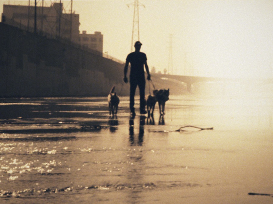 Dog: Impossible: New Leash - Apple TV