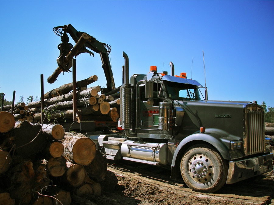 Swamp Loggers - Apple TV