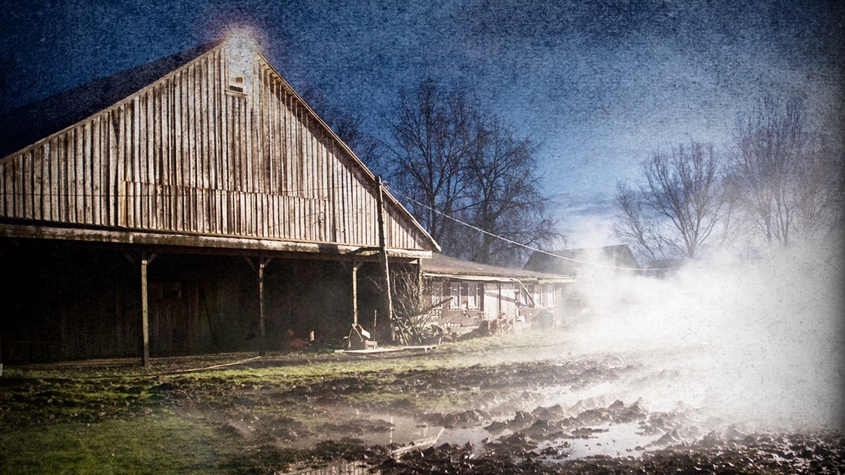 The Pig Farm - Apple TV