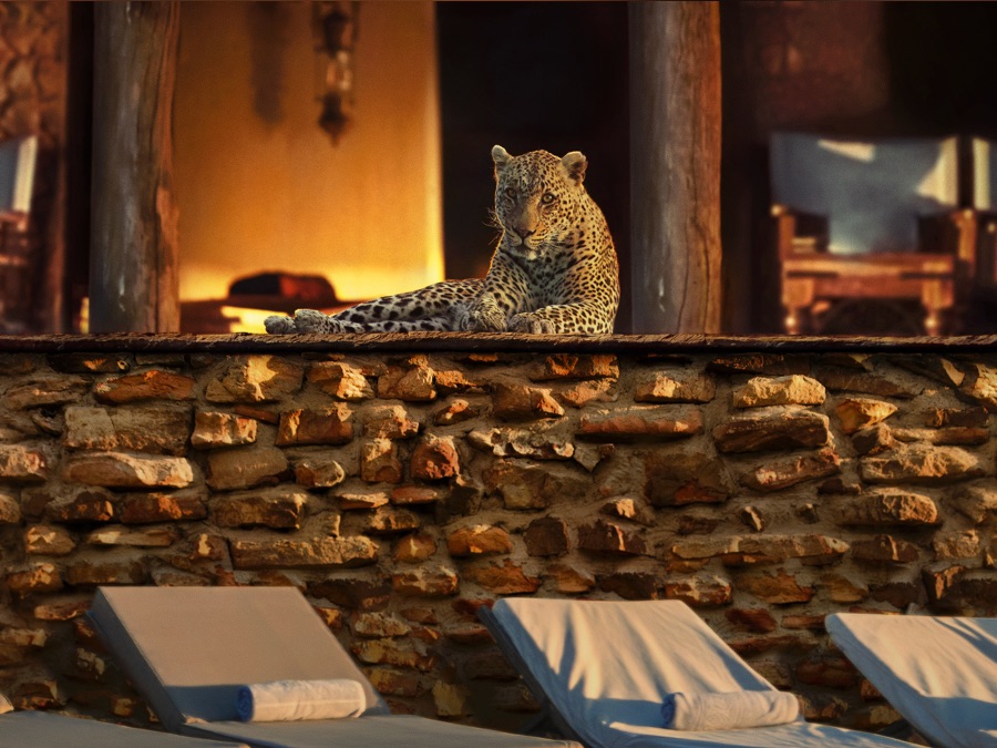 Watch The Year Earth Changed - Movie - Apple TV+