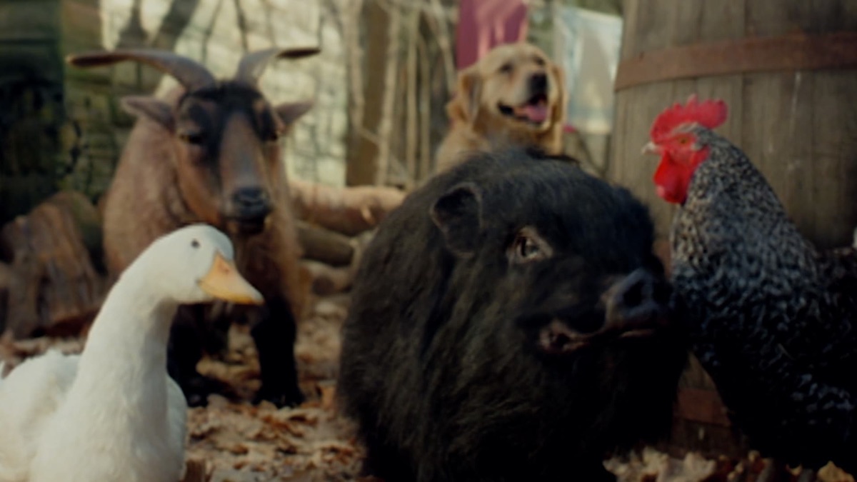 Pets - Apple TV