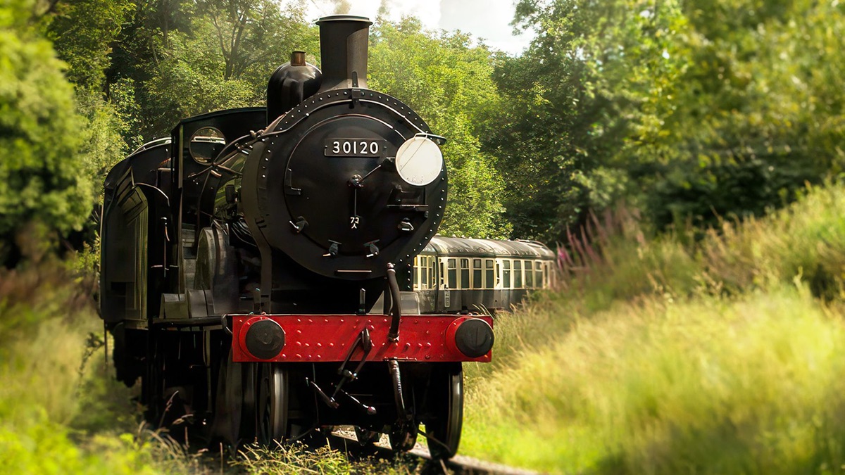 The Incredible Story of Dean Forest Steam Railway - Apple TV (UK)
