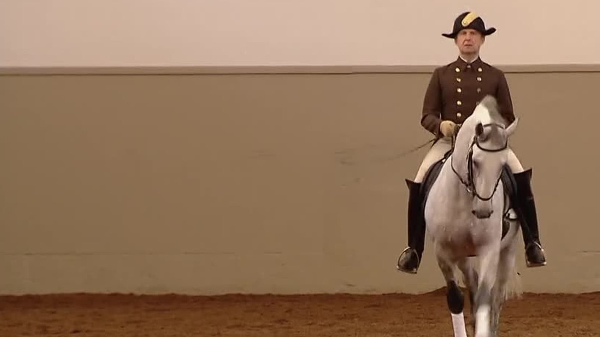 The Spanish Riding School: Elegance and Tradition - Apple TV