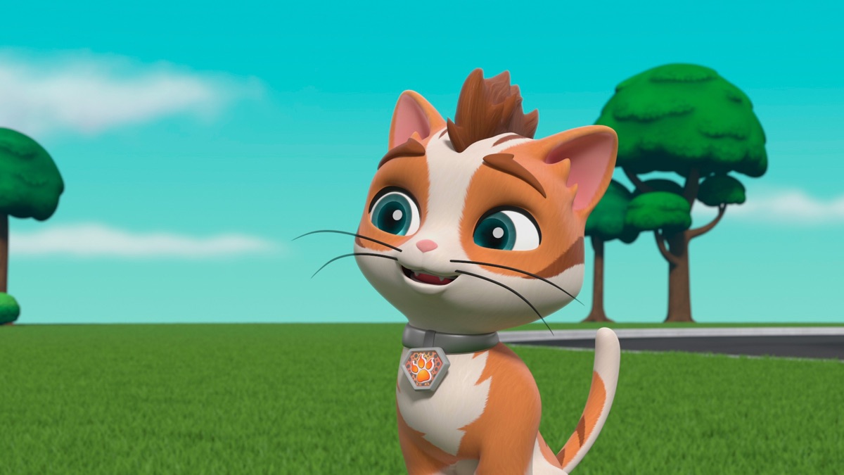 Rubble and Yarn Ball!/Skye and Rory Flip It/Marshall, Leo a Ferris ...