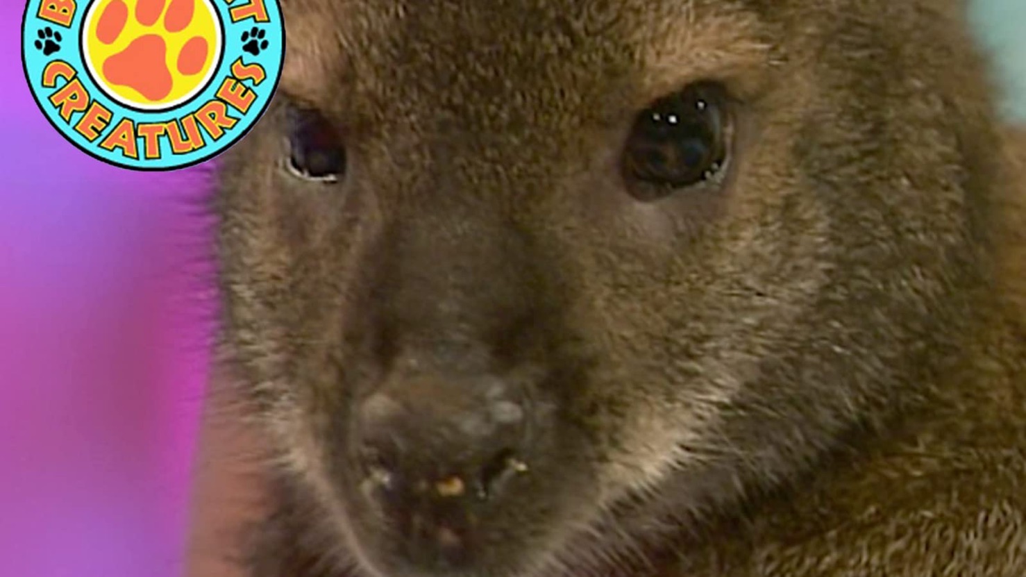 Brilliant Creatures | Apple TV