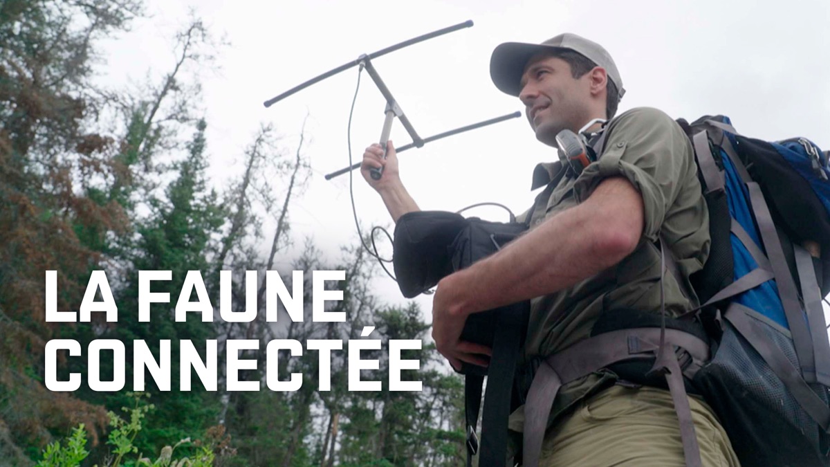 La faune connectée - Apple TV (CA)