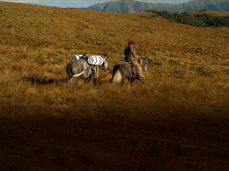 This Way of Life - Apple TV (NZ)