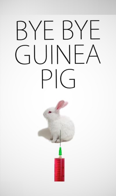 ‎Bye Bye Guinea Pig - Apple TV