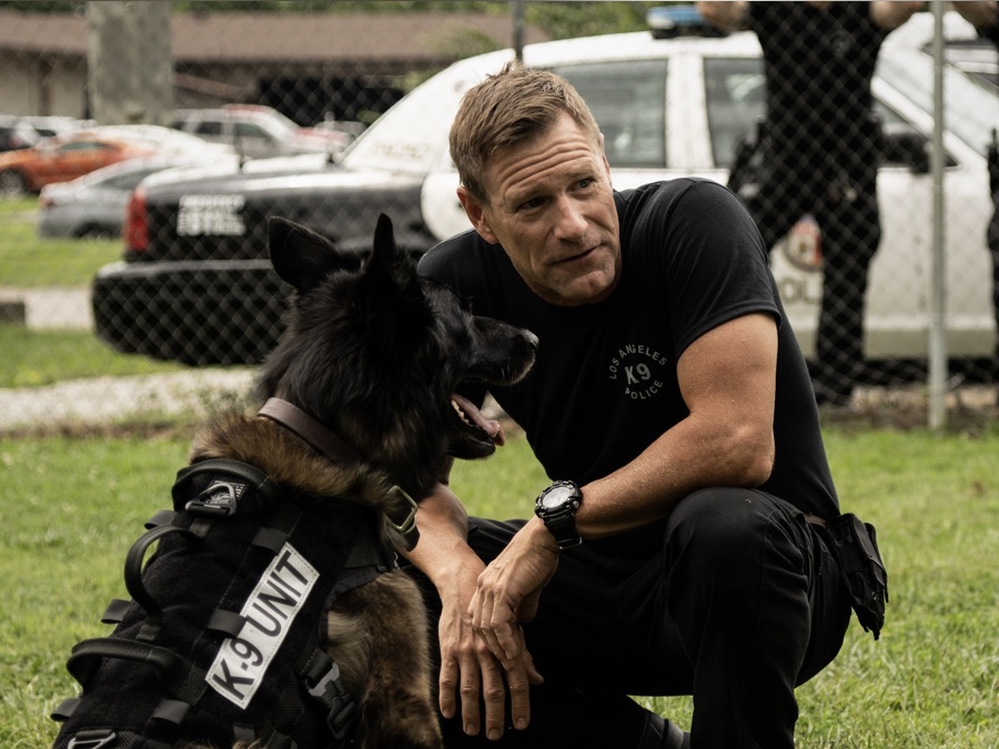 Muzzle - Apple TV (MZ)