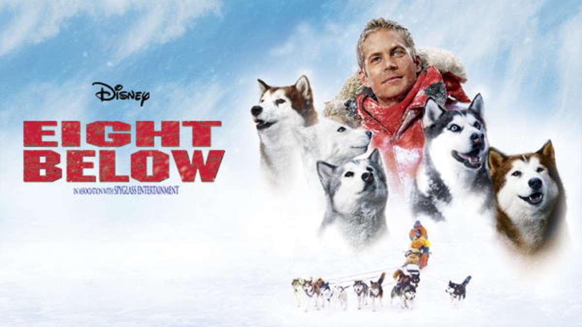 ‎Eight Below - Apple TV