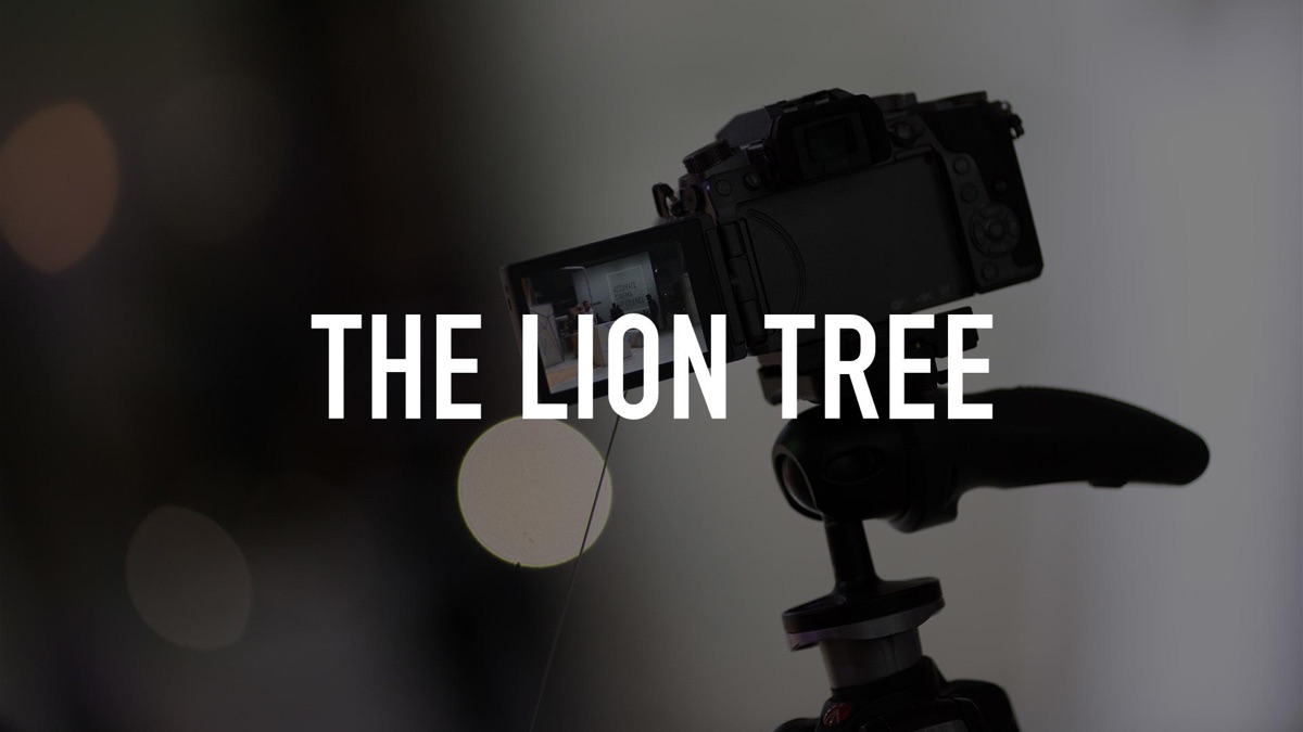 The Lion Tree - Apple TV