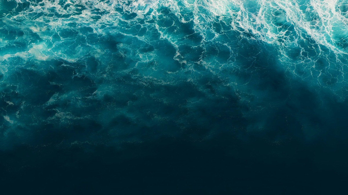 Gratitude Revealed - Apple TV (PL)