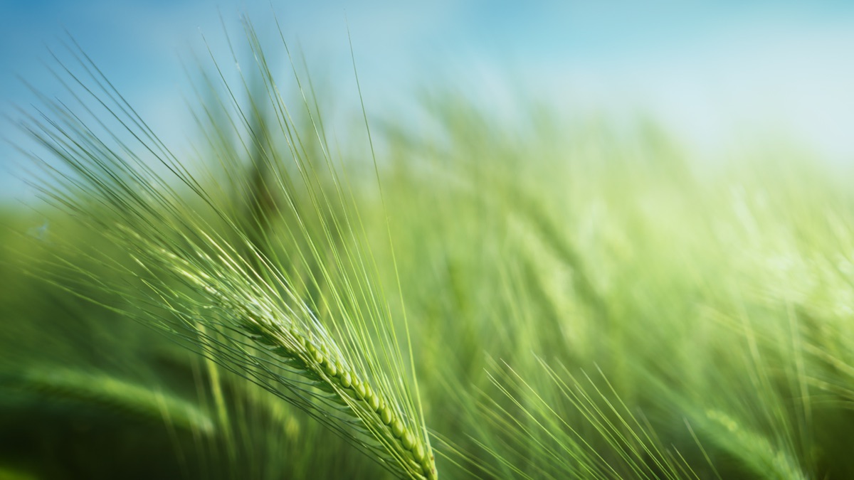 Clear Connection - Seventh Chakra - Apple TV (AU)