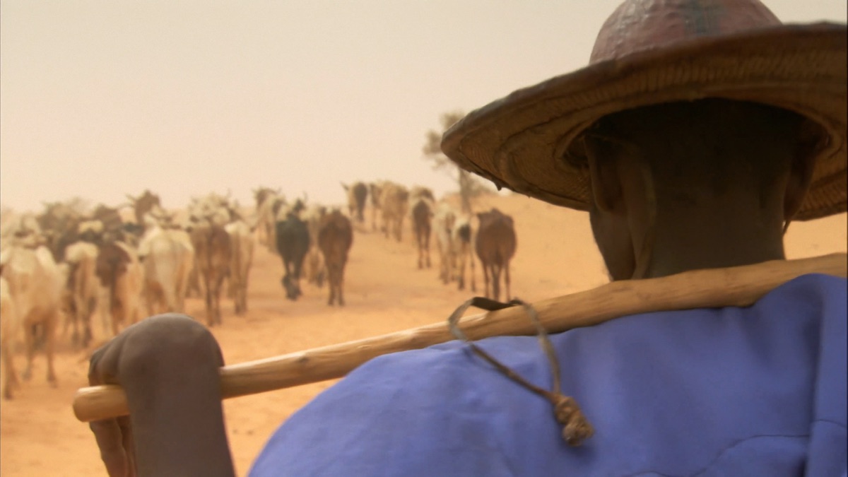 Sahara: Life on the Edge - Wildest Africa (Season 2011, Episode 4 ...