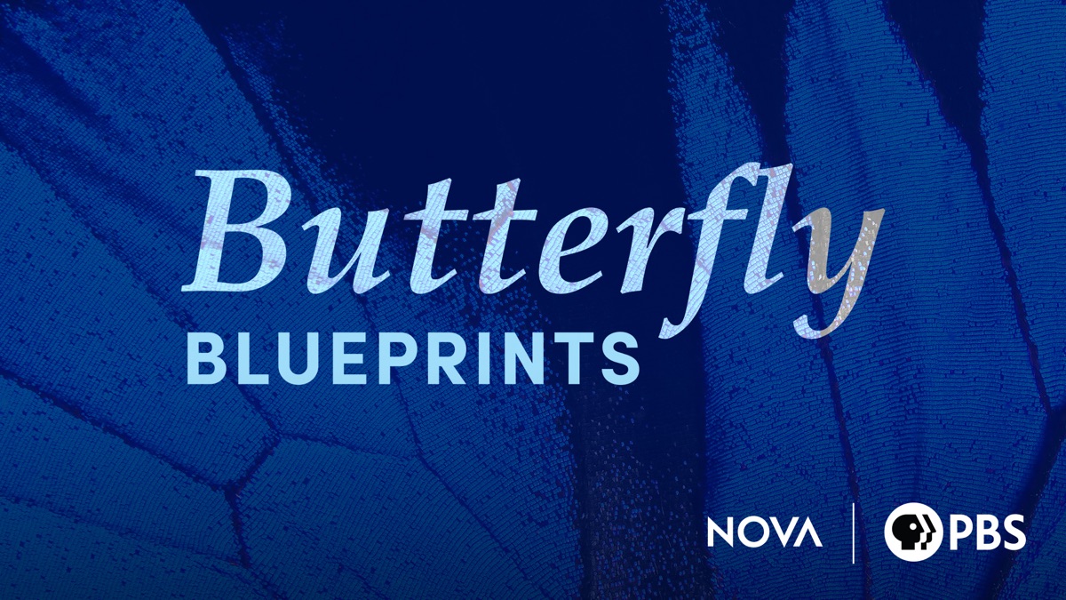 Butterfly Blueprints - Apple TV