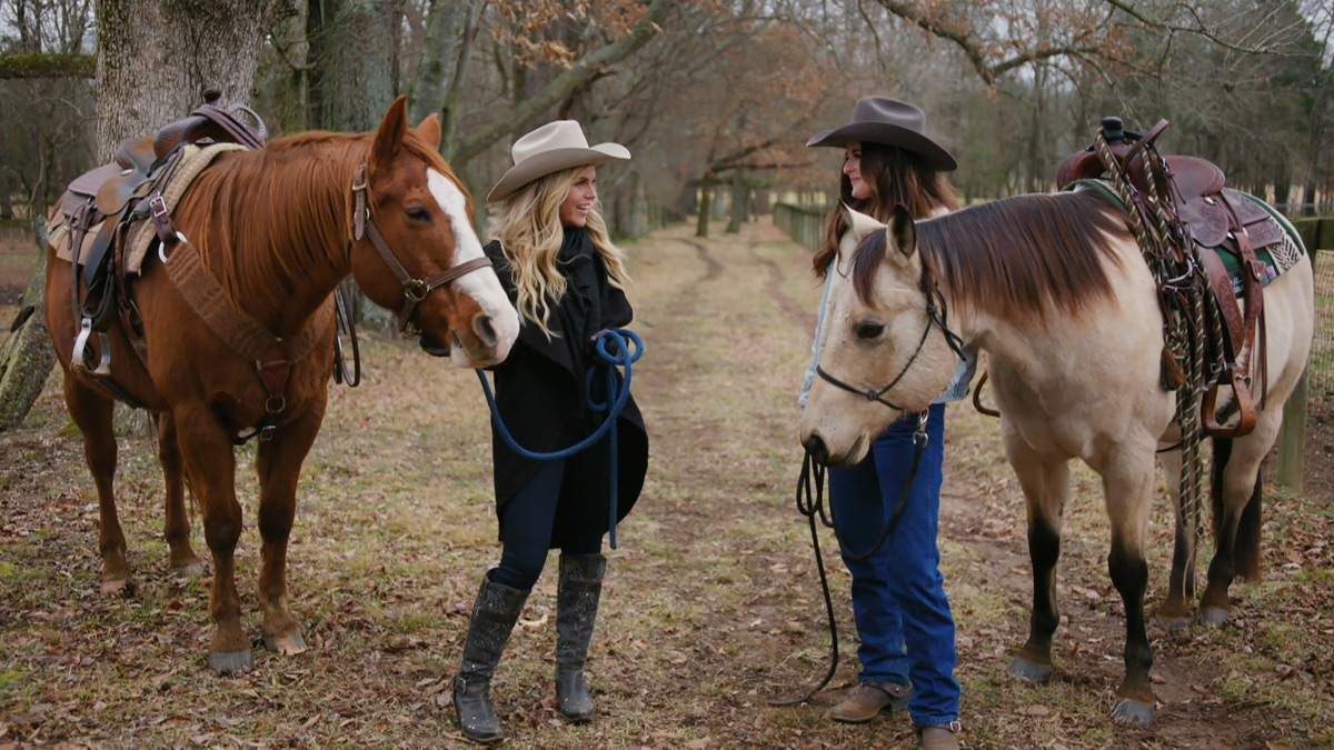 The Southern Weekend - Apple TV